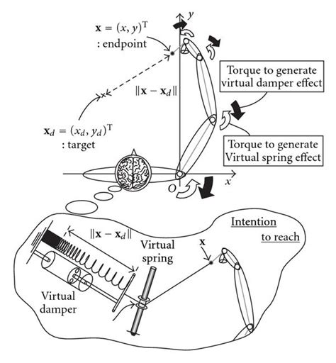 Virtual Spring Damper Hypothesis Download Scientific Diagram