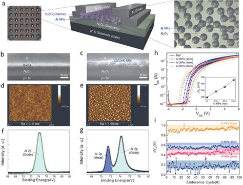 A Optical Image Of Igzoal Np Synaptic Transistor Array Devices