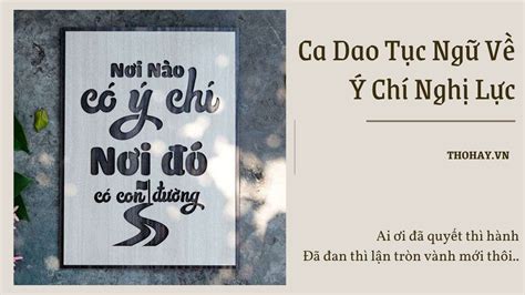 124 Ca Dao Tục Ngữ Về Ý Chí Nghị Lực Vượt Qua Khó Khăn Thử Thách