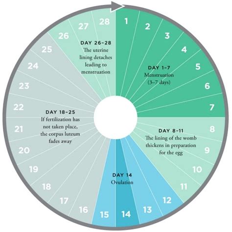 Improve Your Sex Life By Tracking Your Monthly Cycle Married