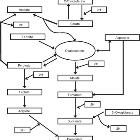 Pdf Redirecting Rumen Fermentation To Reduce Methanogenesis