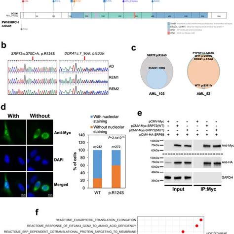 Mutational Landscape In Pediatric Aml A A Waterfall Plot Generated By