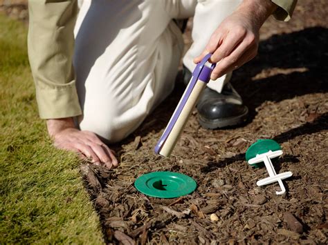 What Do I Need To Know About A Termite Baiting System North Fulton