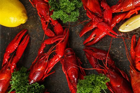 레몬과 파 슬 리와 함께 맛 있는 삶은 왕새우 클로즈업입니다 어두운 배경입니다 해산물 저녁 식사입니다 갈고리 발톱에 대한 스톡 사진 및 기타 이미지 Istock