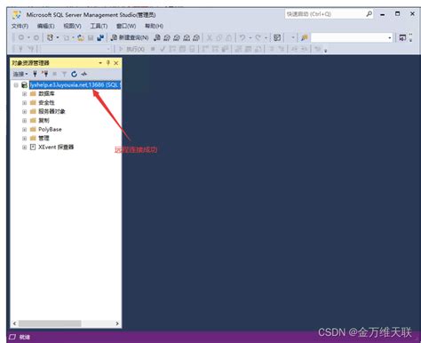 外网如何访问sql Server服务sqlserver局域网可以访问 互联网无法访问 Csdn博客