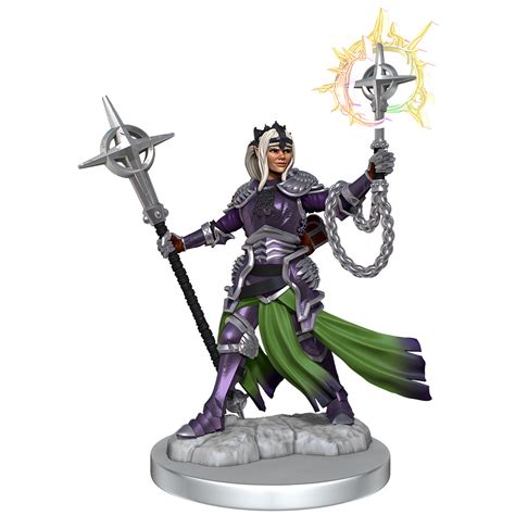 Dungeons And Dragons Frameworks Female Elf Paladin