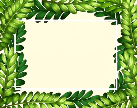 Vector De Marco De Hoja
