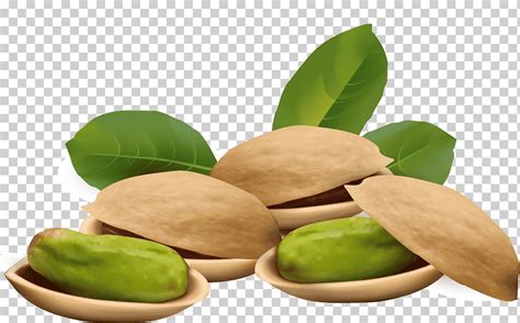 фисташки, фисташки png | Klipartz