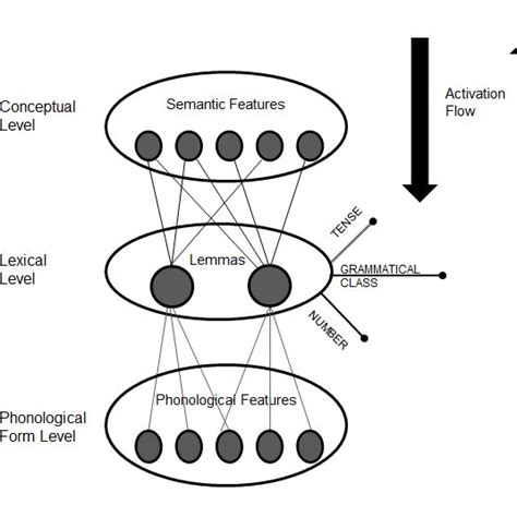 Schematic Of Interactive Models With Dual Stage Lexical Retrieval And