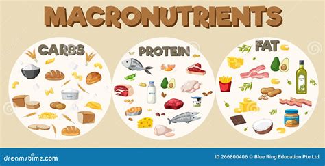 Macronutrients Diagram With Food Ingredients Stock Vector