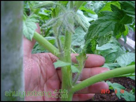 课程门户 章节详情