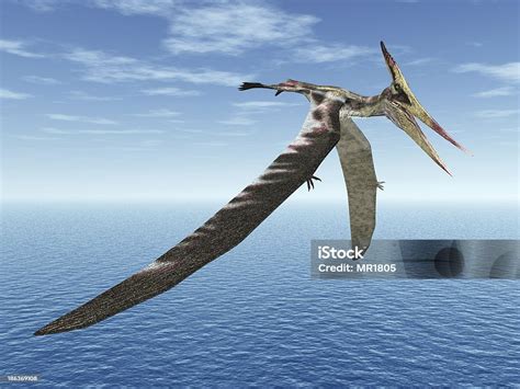Pterosaur Pteranodon 프테라노돈에 대한 스톡 사진 및 기타 이미지 프테라노돈 0명 3차원 형태 Istock