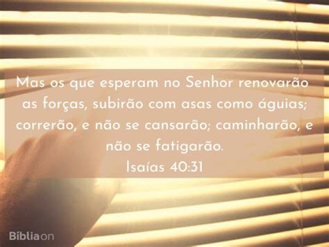 Isaías 4031 Mas Os Que Esperam No Senhor Bíblia
