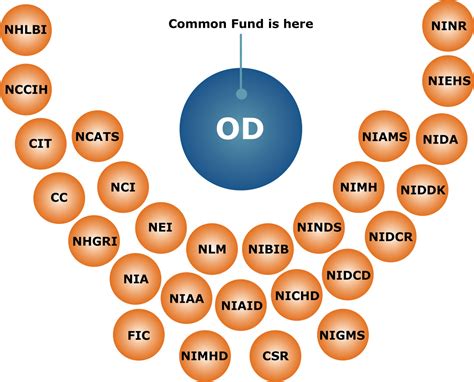 About The Nih Common Fund