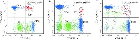 Peripheral Cd4 Cd8 Double Positive T Cells A Potential Marker To