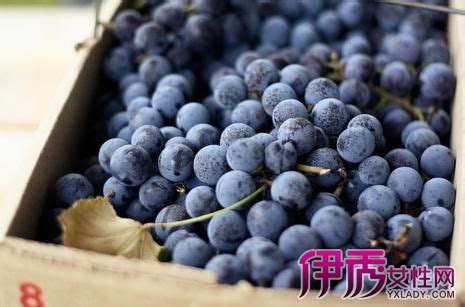 黑加仑的功效与作用图黑加仑的功效与作用有哪些 揭开黑加仑的神秘面纱 伊秀健康 yxlady