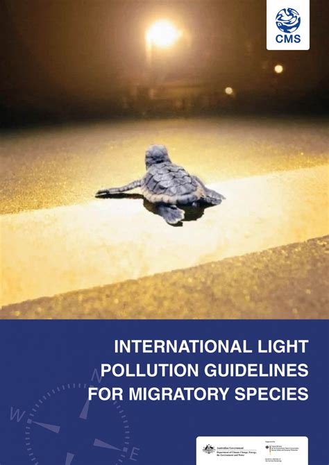 Light Pollution Cms