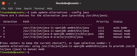 如何在 Ubuntu 18 04、19 04 上安装 Oracle Java 8 和 Openjdk 11