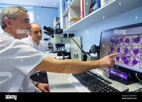 Analysis Of Samples In A Microscope Clinical Analysis Hematology