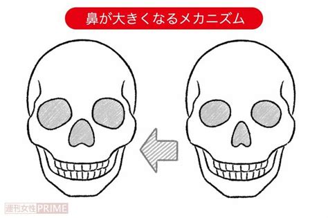 【画像・写真】加齢でボテッと肥大化する「にんにく鼻」は中年から増える！youtube登録数78万人超えの人気医師に聞いた、鼻デカのメカニズムと