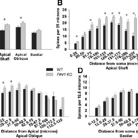 Fmr1 Ko Mice Bred In A C57bl 6 Background Exhibited Greater Overall Download Scientific Diagram