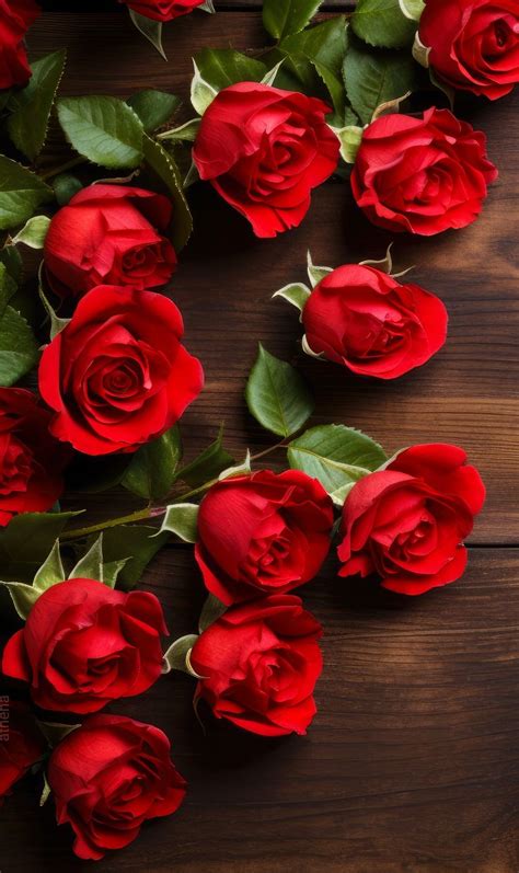 Pin Di Lucy B Su Flori Nel 2024 Boccioli Di Rosa Sfondi Carini Fiori