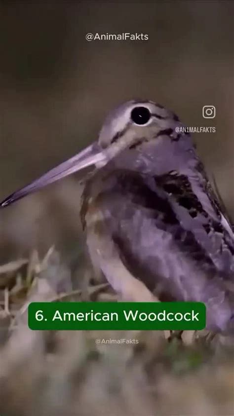 4 Is When I Stub My Toe Album On Imgur