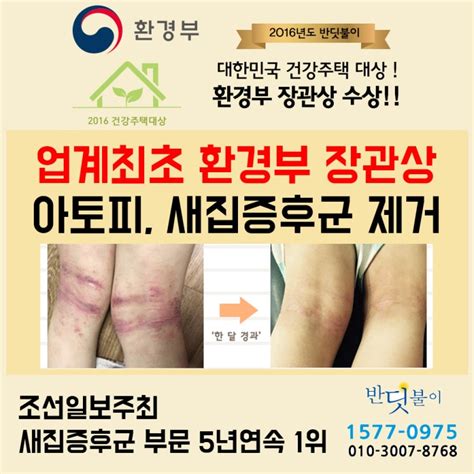 1인무점포창업 반딧불이 새집증후군 환경서비스 네이버 블로그