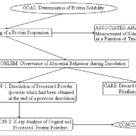Schematic Representation Of Experimental Procedure Download Scientific Diagram