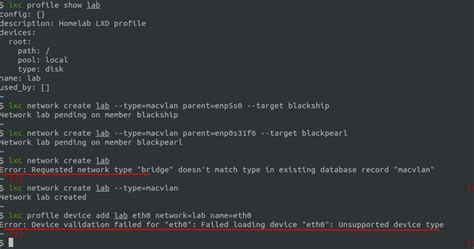 Homelab With Multiple Types Of Devices With Different Network Interface Names Help Lxd
