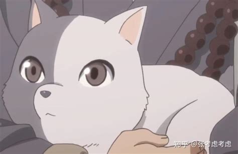 百妖谱 白狐图片截图 知乎