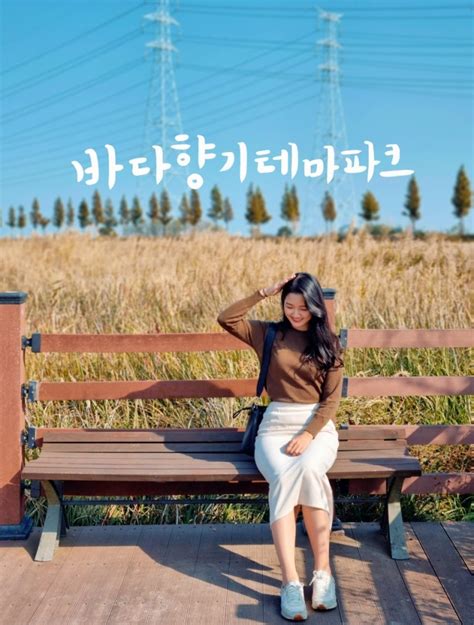 안산 대부도 가을에 갈만한곳 바다향기테마파크 대규모 드라이브 코스 네이버 블로그