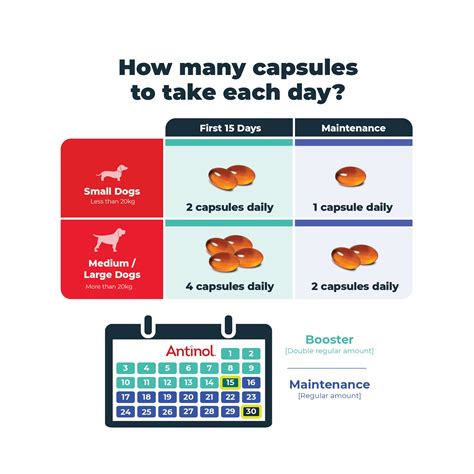 Antinol 60 Day Starter Pack Large Dog Antinol Australia