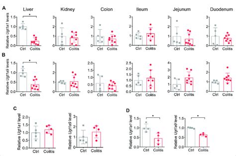 Colitis Downregulates Ugt1a1 And Ugt1a9 In The Liver But Not In Other Download Scientific