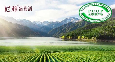 中信国安葡萄酒业加入“中信碳账户”，共创绿色低碳消费场景财富号东方财富网