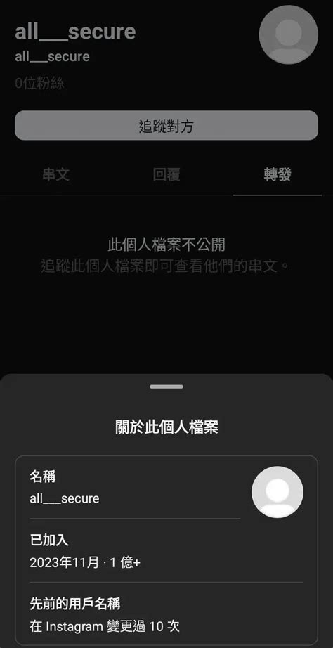 感謝網友分享 半年內改了10次用戶名稱 一個月內改了6次名稱 另一位網友說追蹤者多為互追 這串肉粽封起來應該不錯 Threads什麼時候可以