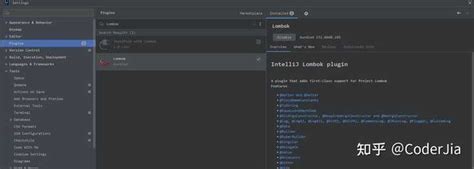 Idea中springbootdata注解找不到getset方法编译不通过，但vscode通过 知乎