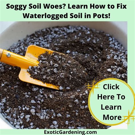 How To Make Compost At Home Exotic Gardening