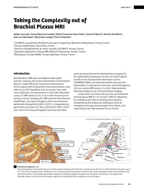 Pdf Taking The Complexity Out Of Brachial Plexus Mri Dokumen Tips