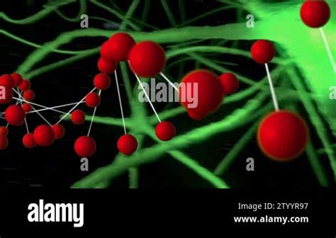 Visual Cortex Neuron Stock Videos And Footage Hd And 4k Video Clips Alamy