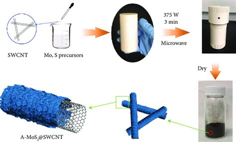 Schematic Illustration Of The Preparation Of The A Mos 2 Swcnt Catalyst Download Scientific