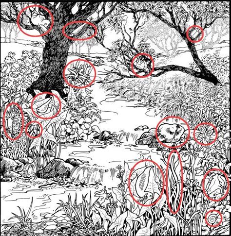 Comment Image Figuras Escondidas Acertijos Imágenes Ocultas