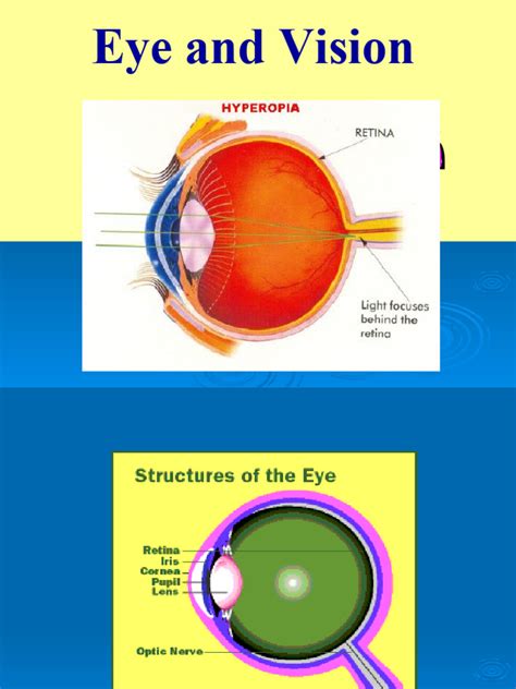 5 Eye And Vision 1 Download Free Pdf Eye Visual Acuity