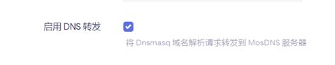 Mosdns与ssr Plus、passwall等科学软件配合的原理是什么？ · Irinesistiana Mosdns