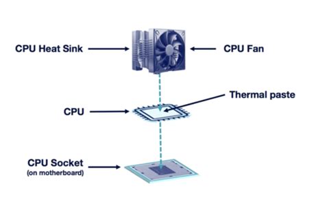 Section 3 Cooling The System Flashcards Quizlet