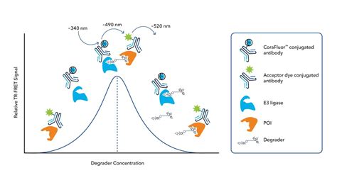 Tr Fret And Fp Assay Reagents Bio Techne