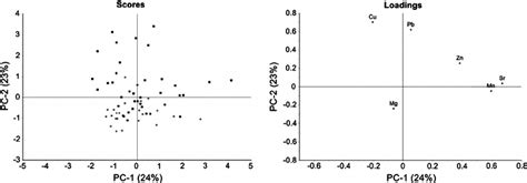 Score And Loading Plots For The PCA Model Using Adults And Subadults Download Scientific
