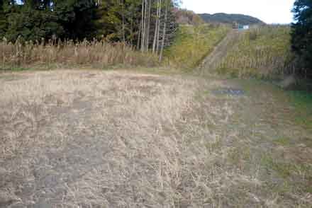一鍬田池水鳥新城市 東三河を歩こう