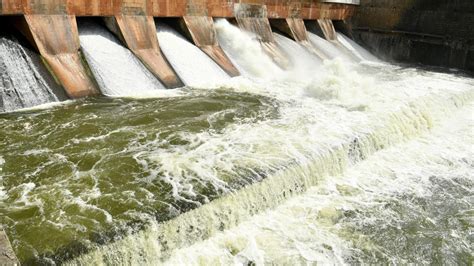 Water Released From Vaigai Dam To Irrigate Land In Madurai Dindigul