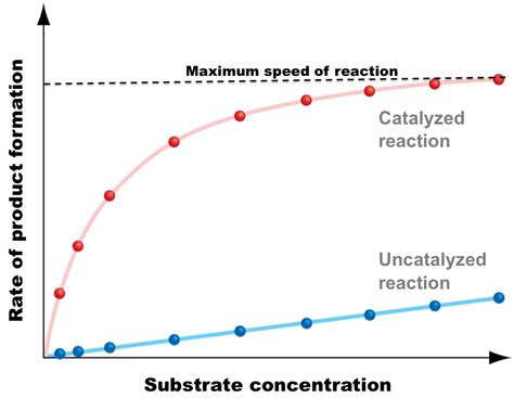 Enzyme Substrate Graph